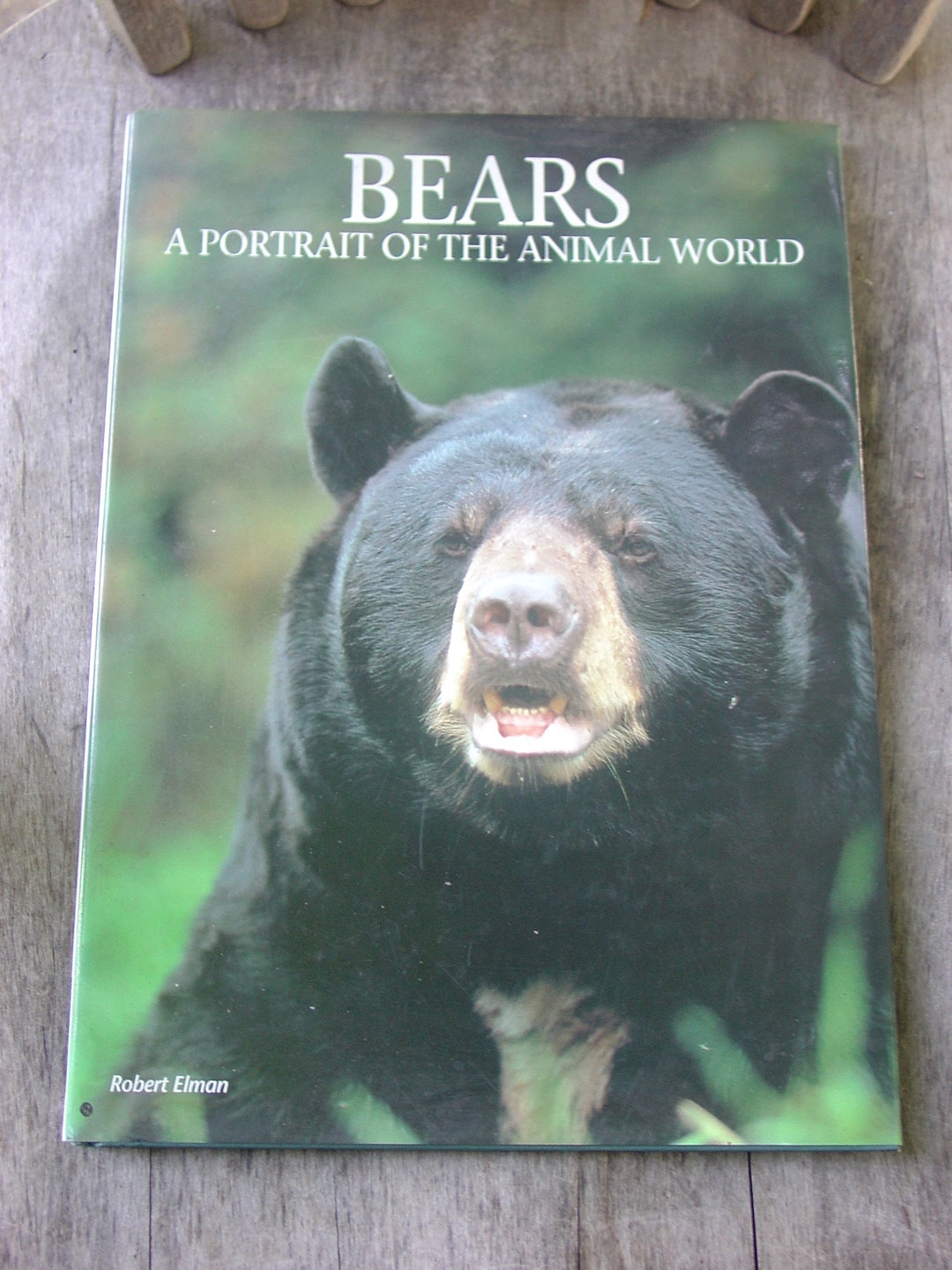 Bears a Portrait of the Animal World by Robert Elman Book - Etsy