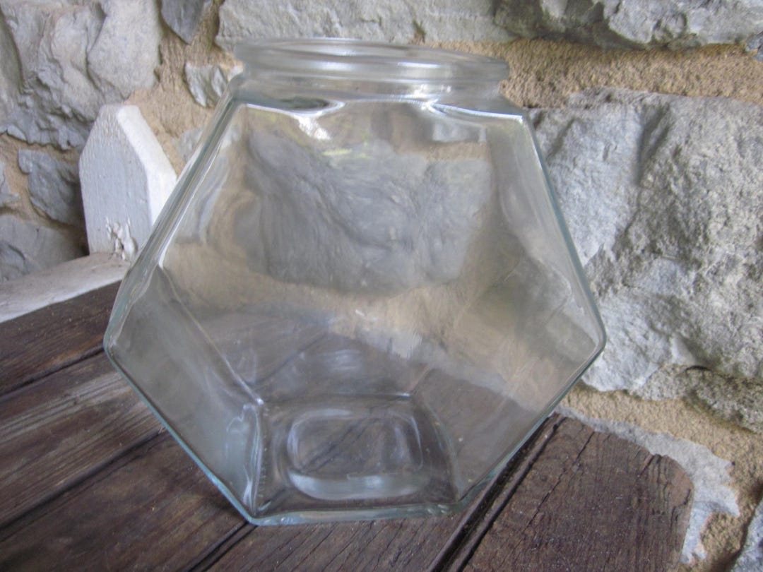 Vintage Hexagonal Fish Bowl Terrarium - Etsy