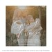 Prom Mini Session Template, Mini Session Template, Senior Templates ...