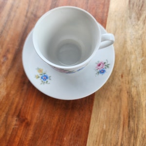 Wissterliug, Schwarzenbach Bavaria Germany Floral Teacup and Saucer ...