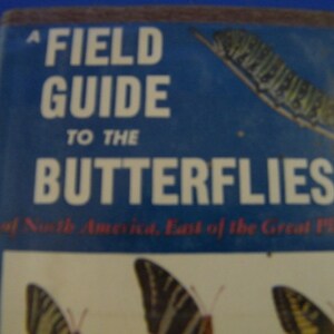 Field Guide Butterflies of North America East of Great Plains - Etsy