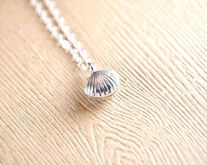 Clam Shell Necklace Clam Shell Charm Pendant 925 Sterling | Etsy