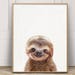 Sloth Print, Cute Baby Sloth Photo, Animals Art Photo, Baby Shower Gift ...