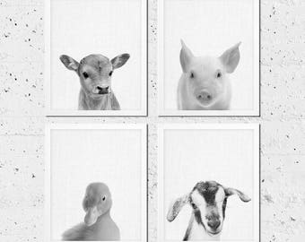 Farm Animals Print Animals Print Set of 8 Baby Bunny Horse | Etsy