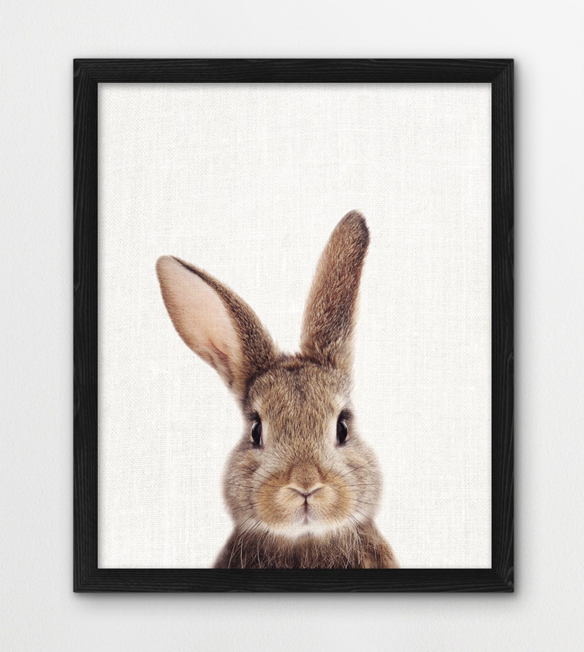 Bunny Print, Rabbit Print, Woodlands Animals Art Photo, Printable ...