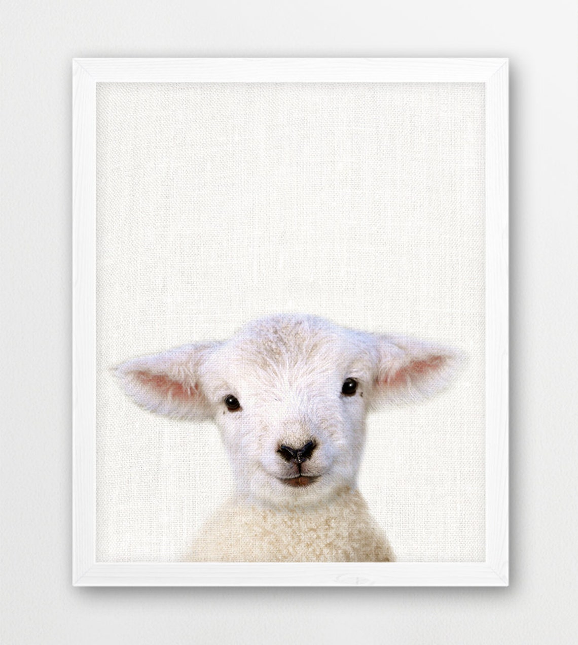 Sheep Lamb Print Farm Animals Photography Cute Baby Sheep - Etsy