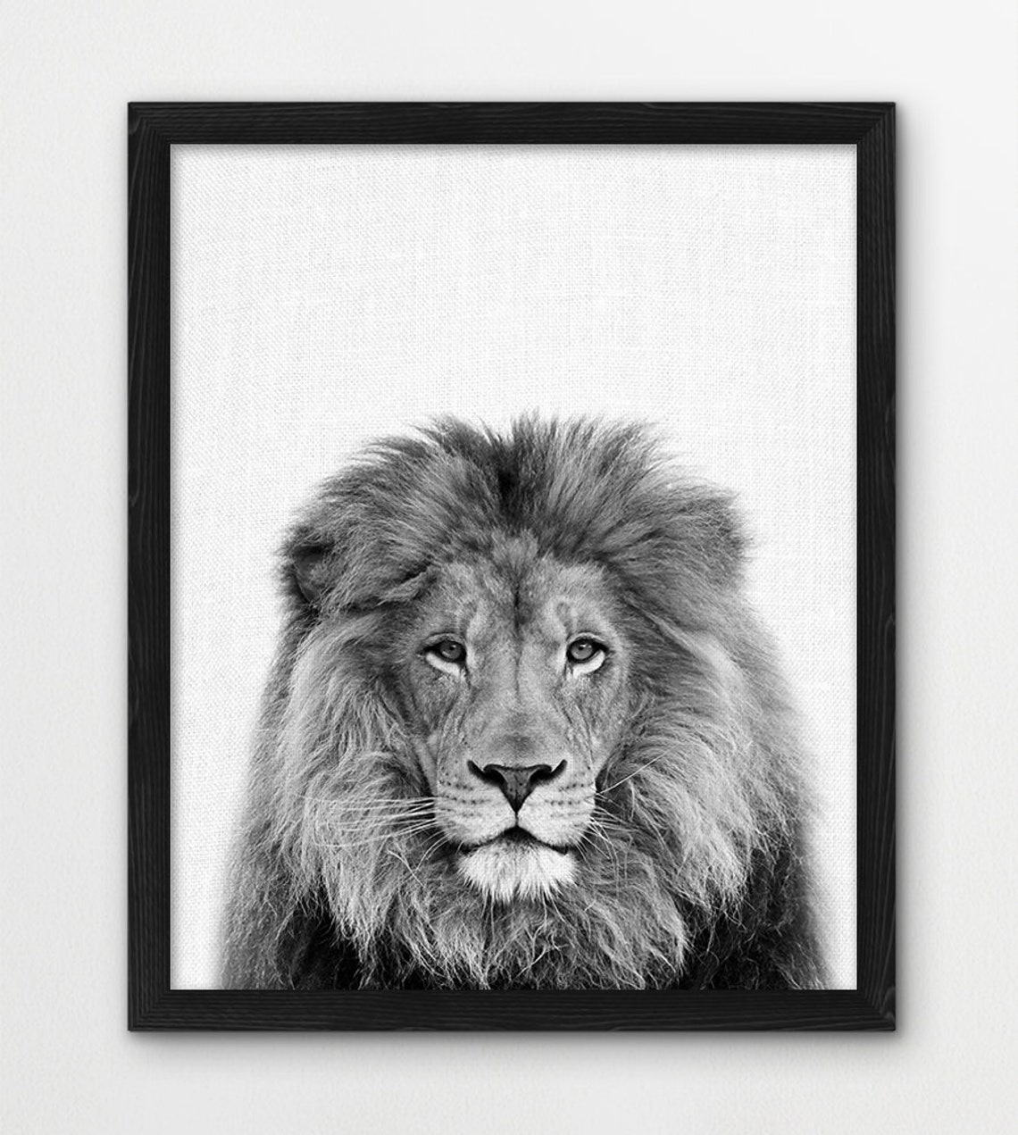 Lions Set Print Lions Family Print Lion Cub Safari Animals - Etsy