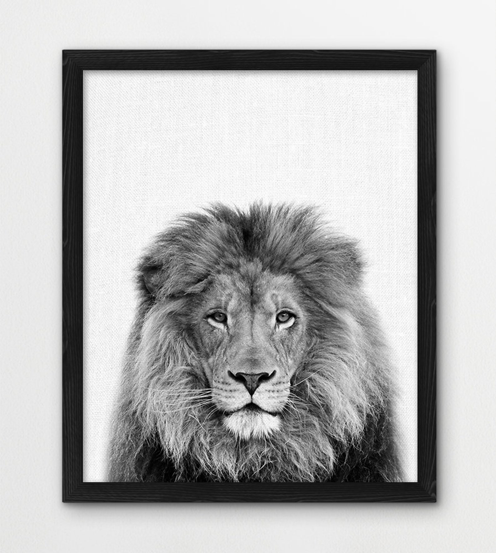 Lions Set Print Lions Family Print Lion Cub Safari Animals - Etsy