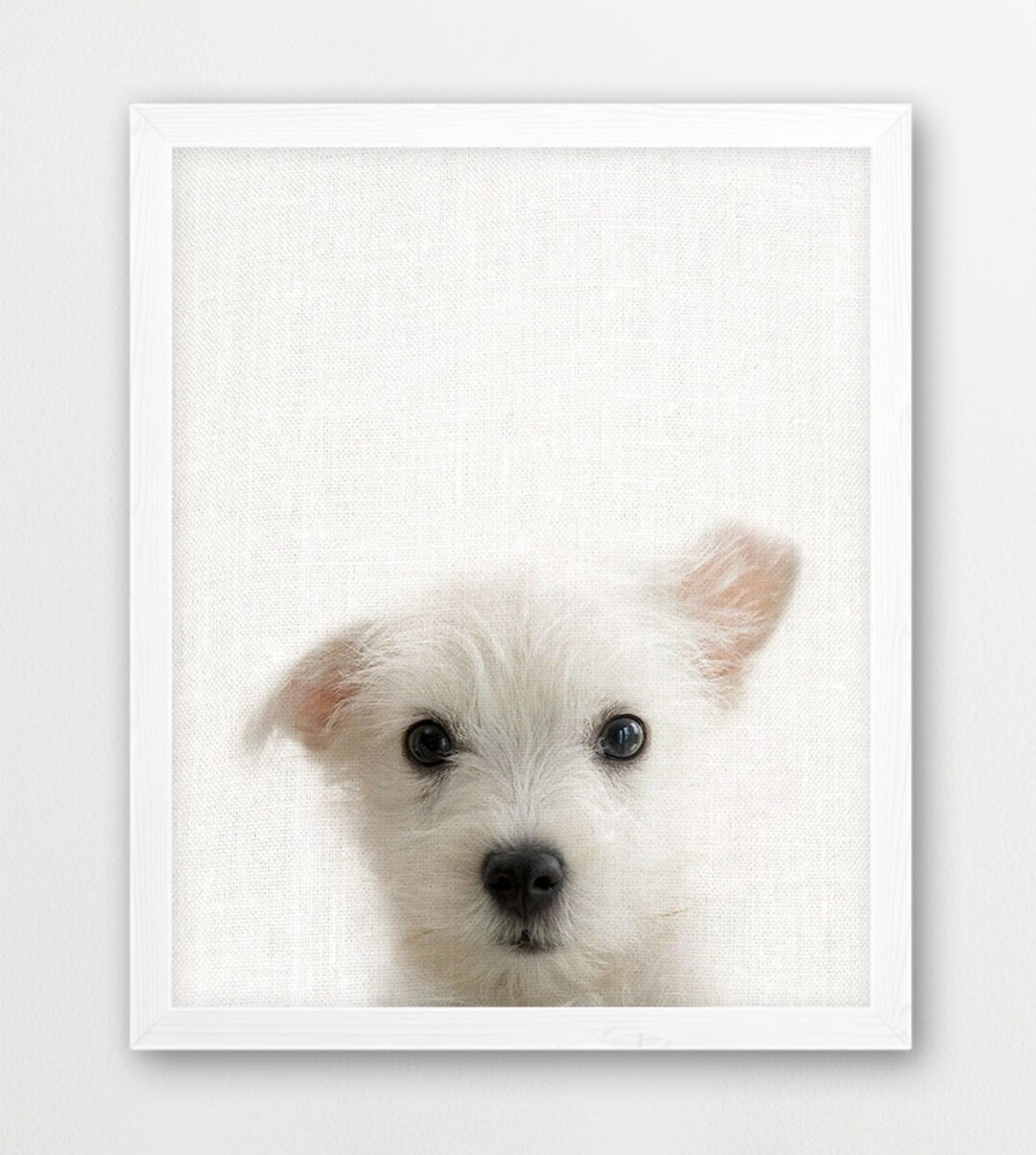 Dog Puppy Print, Animals Photo, Nursery Animal Wall Art, Domestic Cute ...