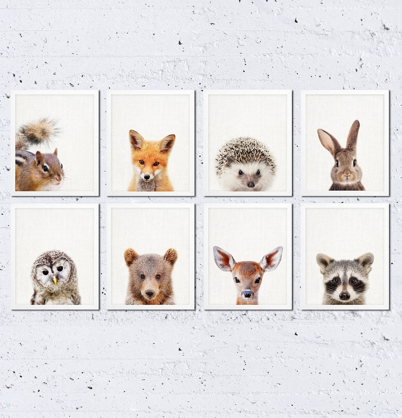 Animals Print, Baby Animals Print Set of 6, Bunny Fox Lion Hedgehog ...