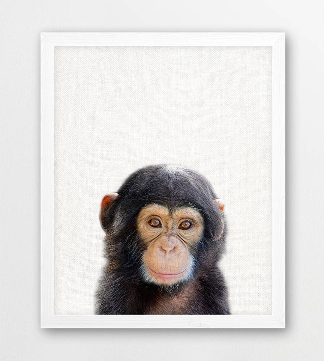 Chimpanzee Print, Cute Baby Monkey Print, African Jungle Animals Art ...