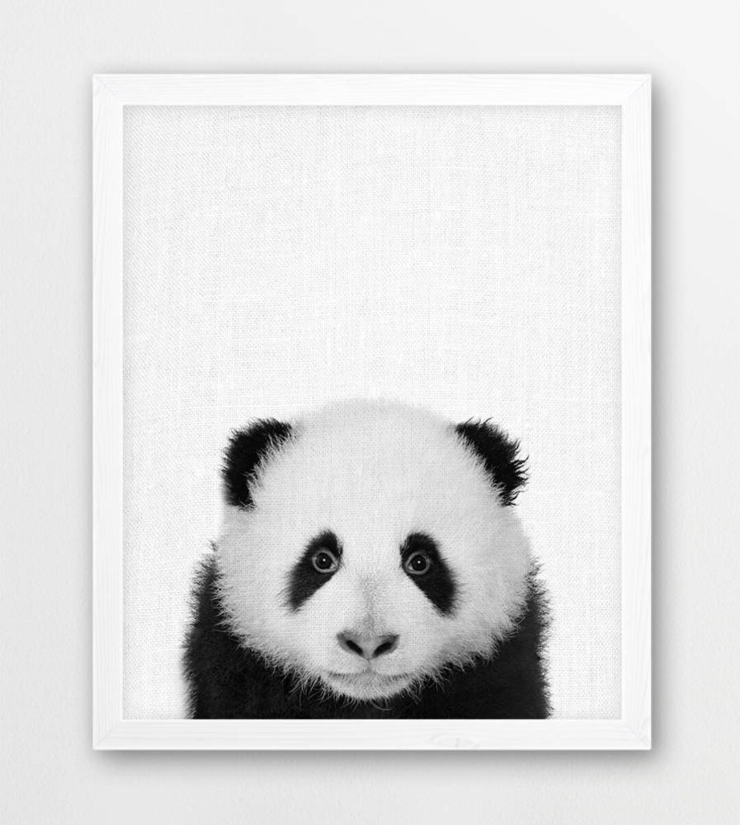Panda Print, Cute Baby Panda Bear Photo Print, Woodlands Animals Photo ...