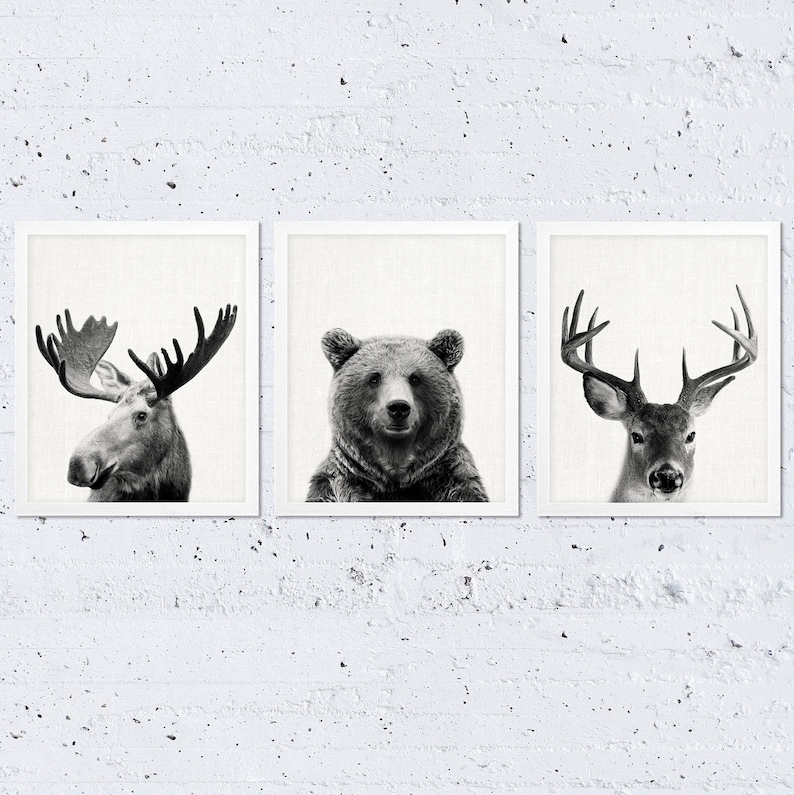 Wolf Print Grey Wolf Photo Print Woodlands Forest Wild | Etsy