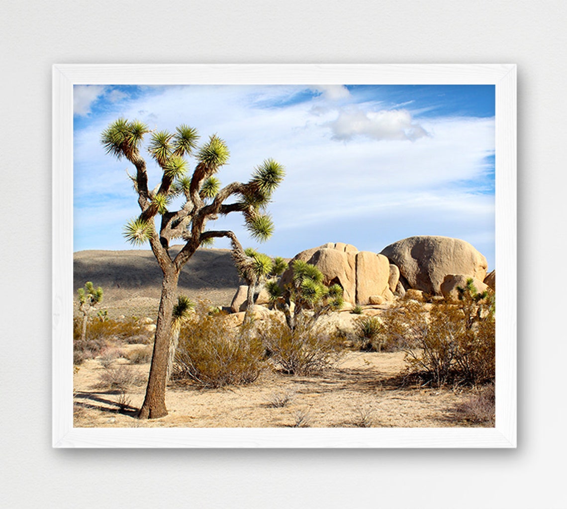 Desert Print Desert Art Joshua Tree Print Wilderness Nature - Etsy