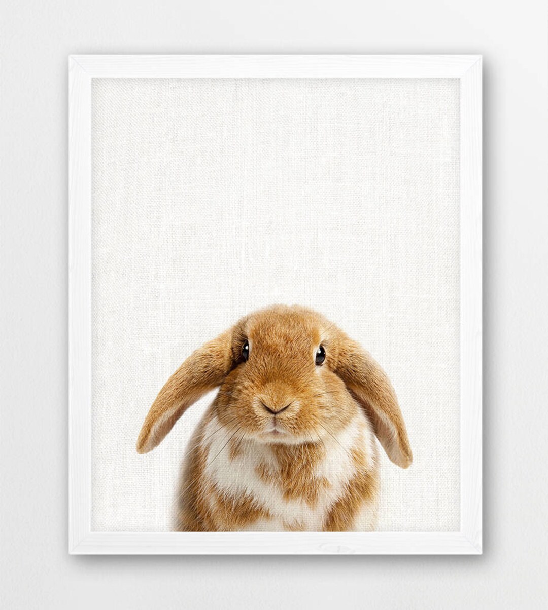 Bunny Print, Cute Rabbit Print, Woodlands Animals Art Photo, Printable ...