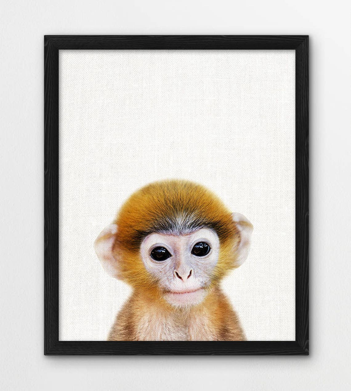 Monkey Print Cute Baby Monkey Photo Animals Art Photo Baby | Etsy