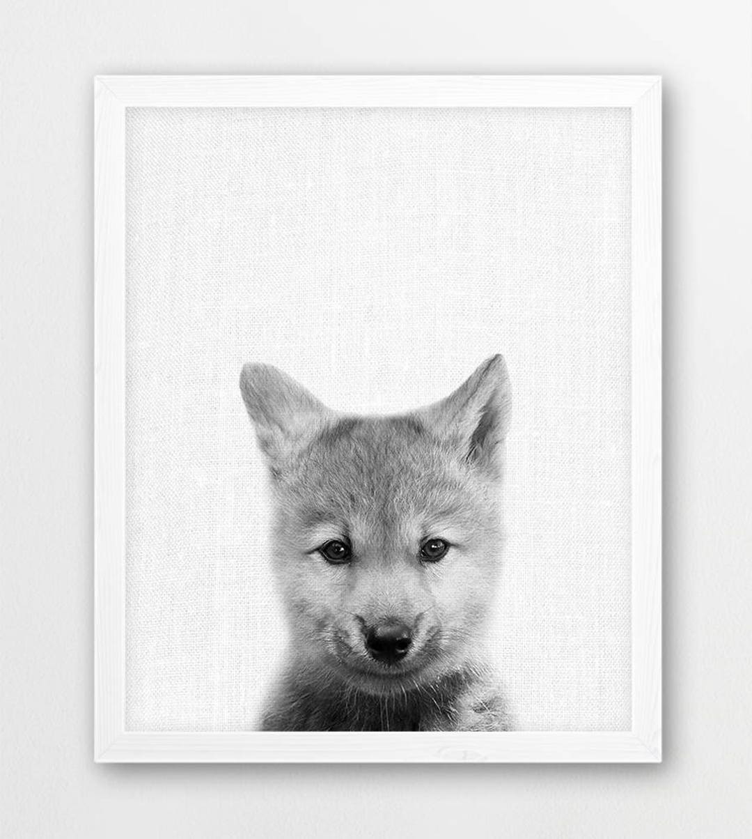 Wolf Puppy Print, Cute Wolf Pup Photo Print, Woodlands Animals Photo ...