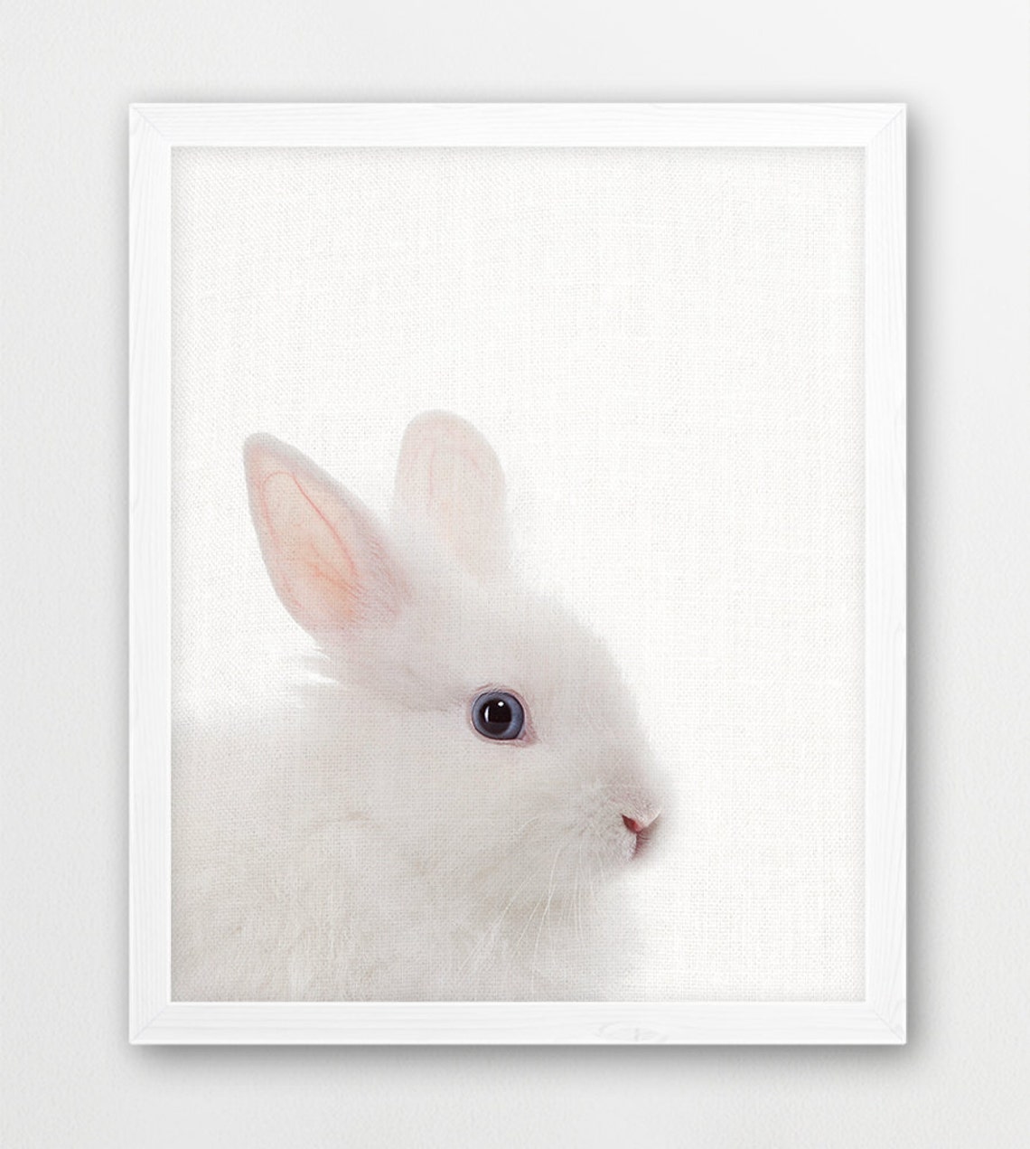 White Bunny Print Animals Photo Nursery Animal Wall Art - Etsy