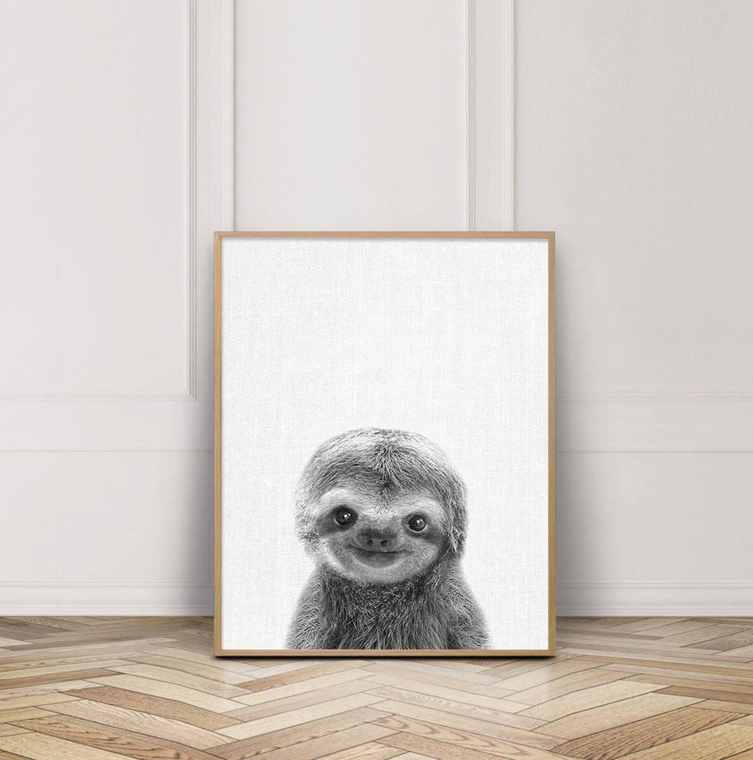 Nursery Decor, Sloth Print, Cute Baby Sloth Photo, Nursery Wall Art ...