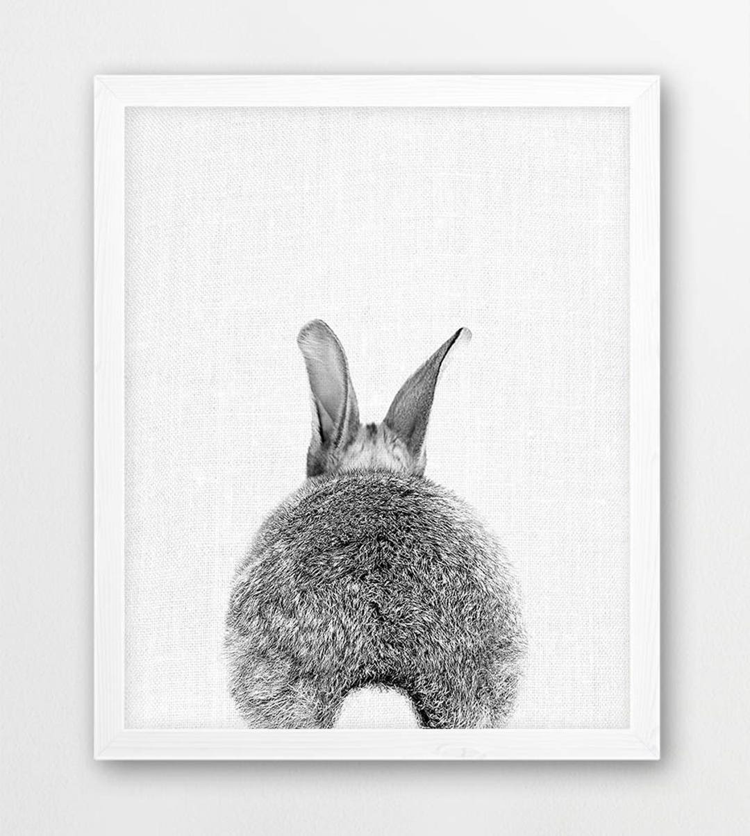 Rabbit Tail Print, Bunny Print, Woodlands Animals Art Photo, Nursery ...
