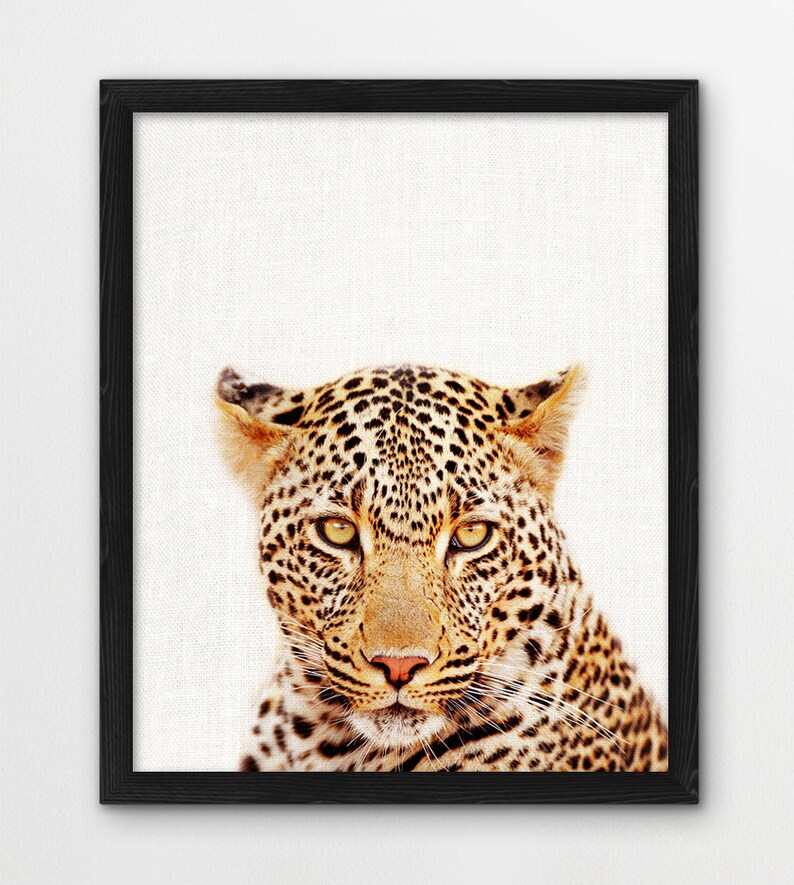 Leopard Print Leopard Photo Forest Jungle Animals Print | Etsy