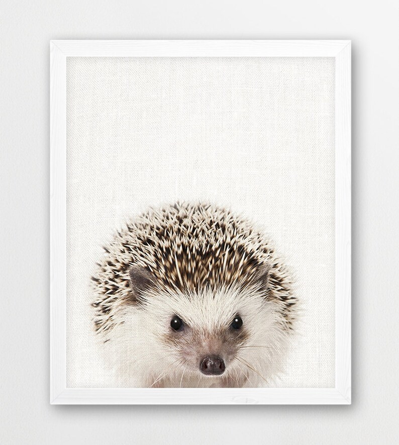 Hedgehog Print, Animals Print, Woodlands Animal, Nursery Wall Art ...