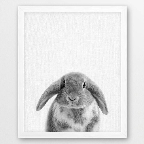 Rabbit Print Bunny Rabbit Art Black & White Animal Prints - Etsy