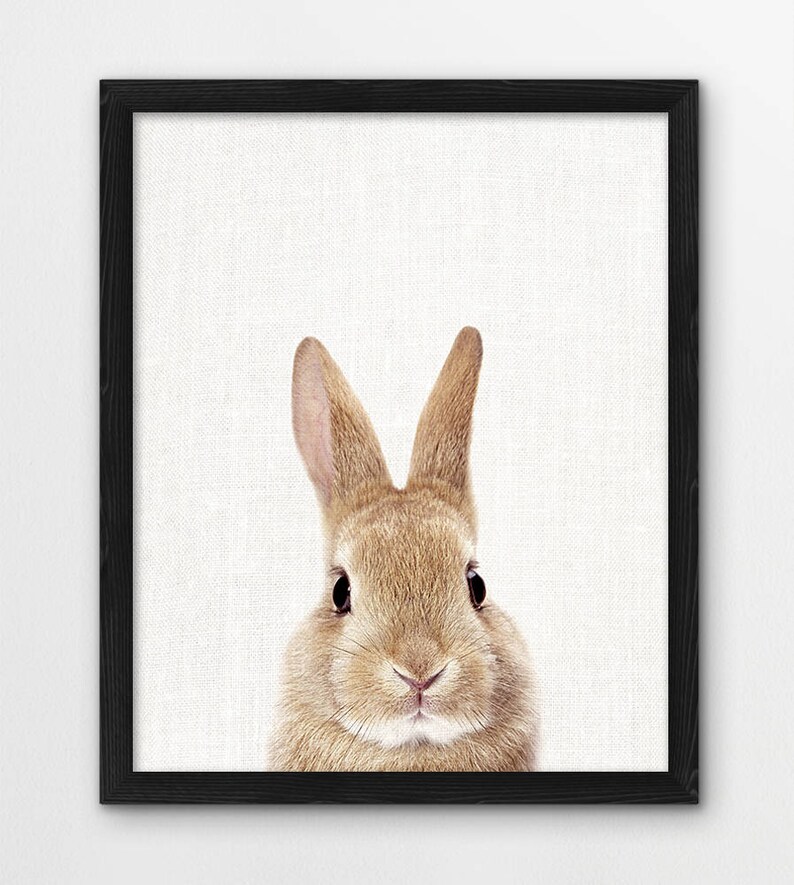 Bunny Print Rabbit Print Woodlands Animals Art Photo | Etsy