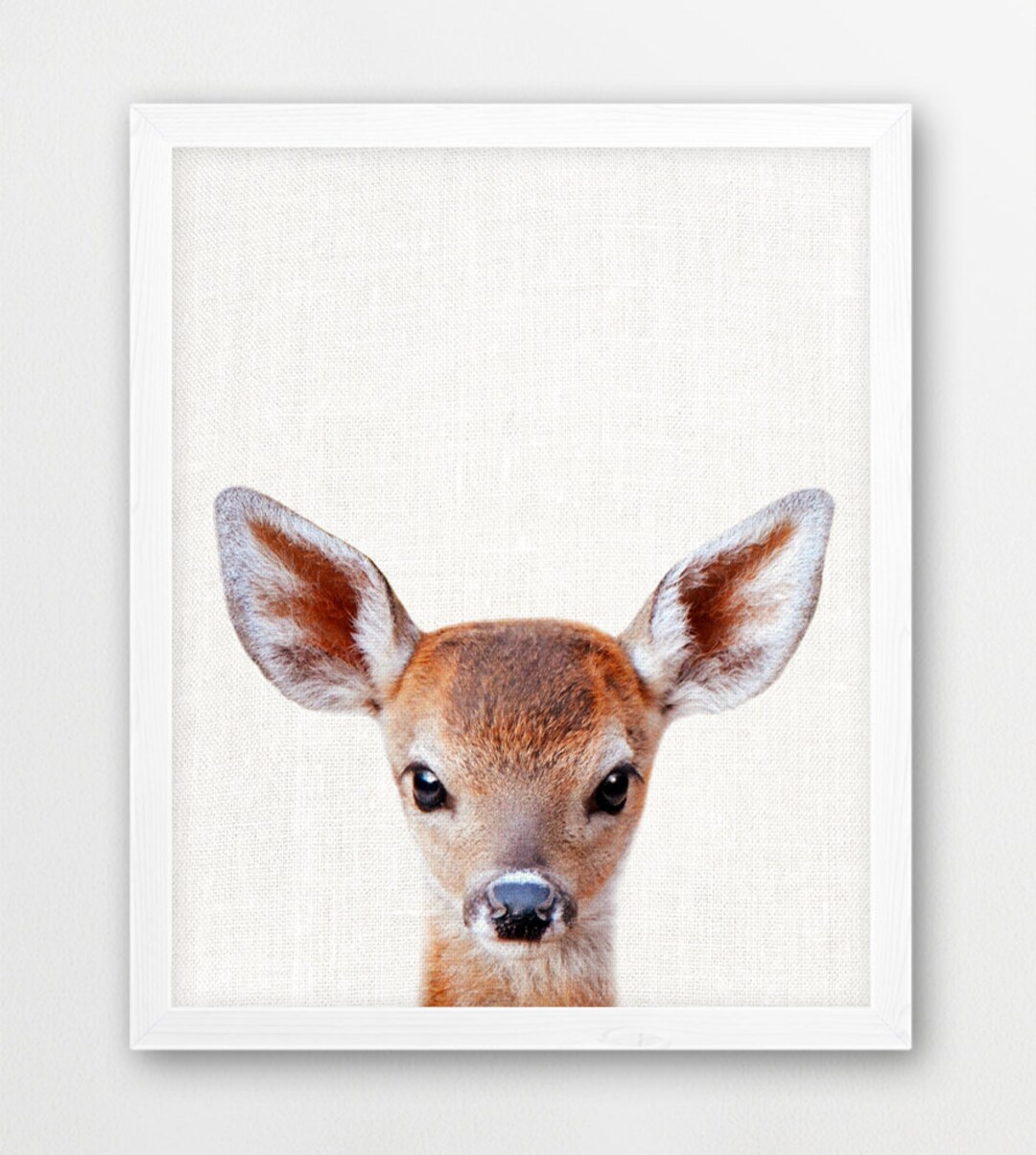 Deer Print, Deer Fawn Print, Woodlands Animals Art Photo, Nursery ...