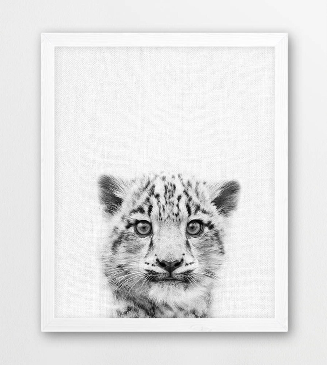 Snow Leopard Cub Photo Print, Nursery Wall Art (digital Download) - Etsy