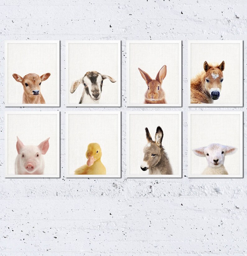 Farm Animals Print Animals Photo Print Set of 8 Bunny Goat - Etsy