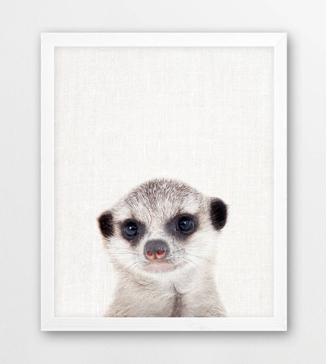 Meerkat Print Baby Meerkat Print African Safari Animals Art - Etsy