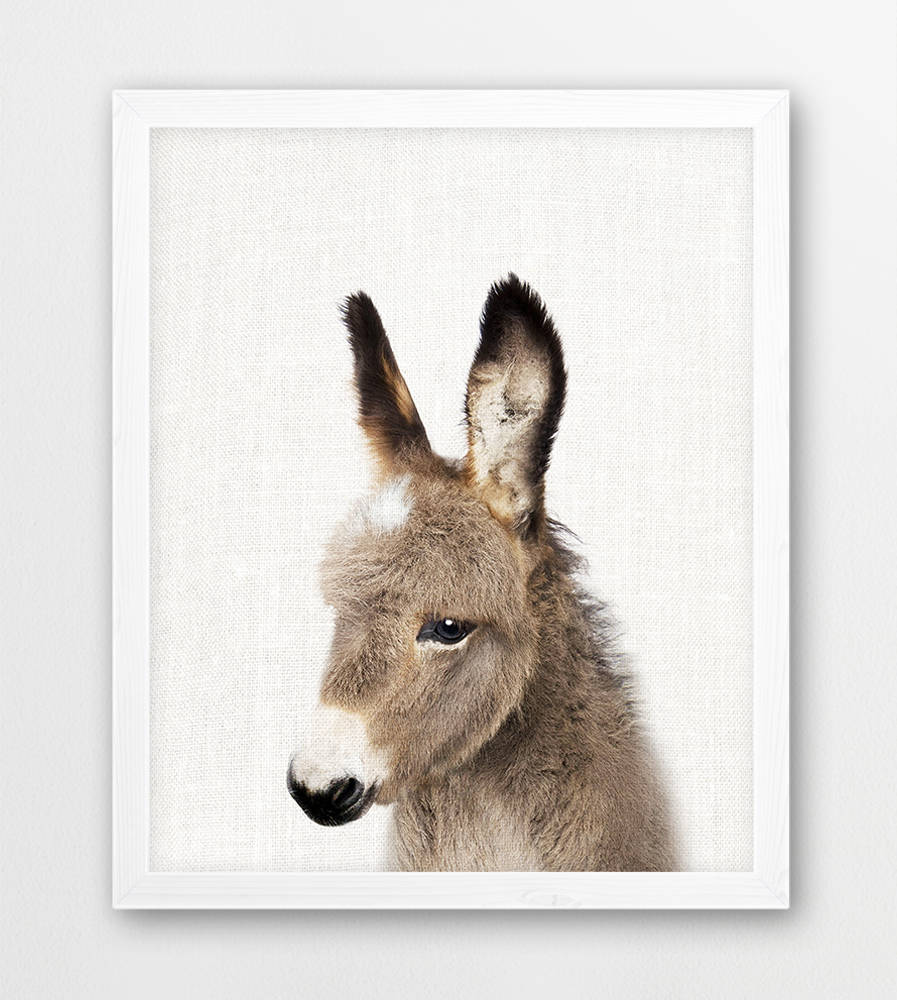 Farm Animals Print, Animals Photo Print Set of 8, Bunny Goat Duck ...