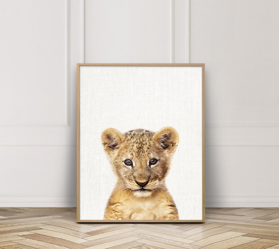 Lion Print Cute Lion Cub Photo Safari African Animals | Etsy