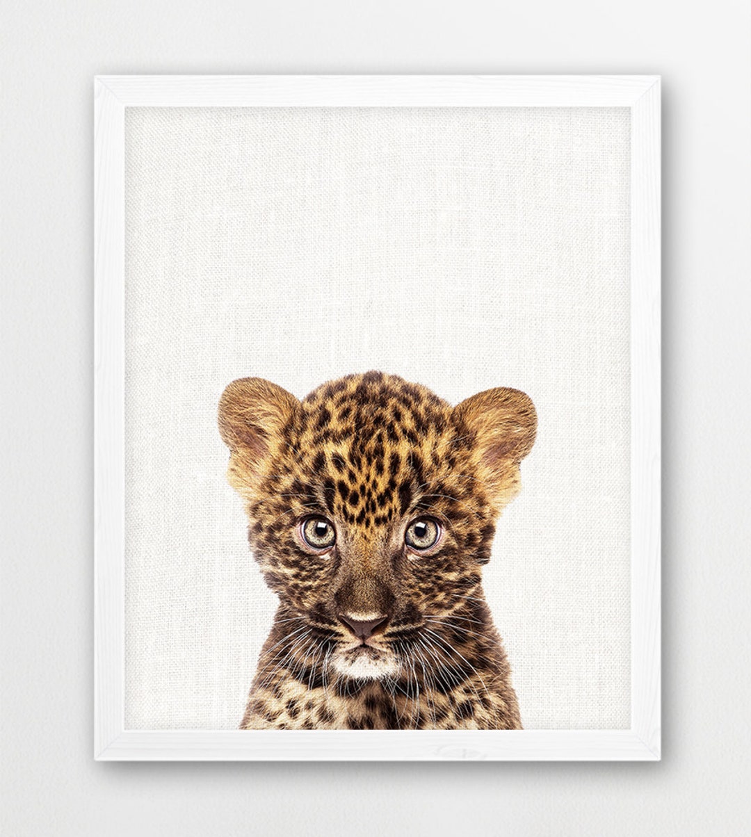 Leopard Cub Print, Baby Leopard Photo, Forest Jungle Animals Print ...