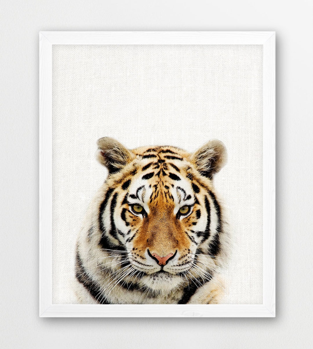 Tiger Print, Big Tiger Photo, Wild Animals Photography, Nursery Wall ...