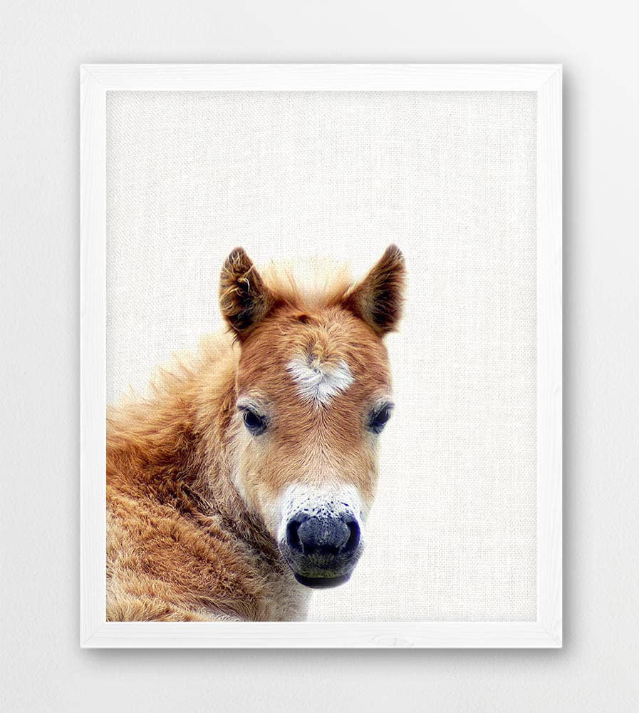 Farm Animals Print, Animals Photo Print Set of 8, Bunny Goat Duck ...