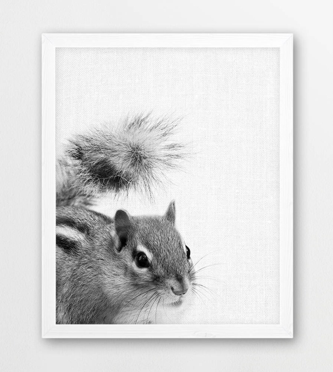 Chipmunk Print, Cute Chipmunk Photo, Woodlands Animals Black White ...