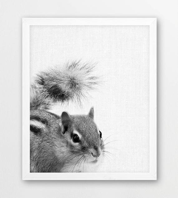 Chipmunk Print Cute Chipmunk Photo Woodlands Animals Black | Etsy