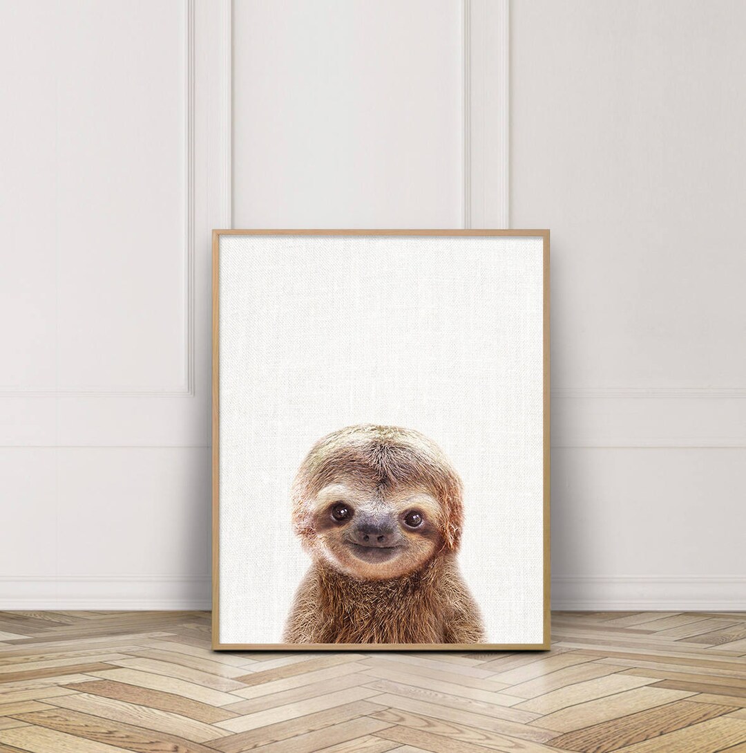 Sloth Print, Cute Baby Sloth Photo, Animals Art Photo, Baby Shower Gift ...