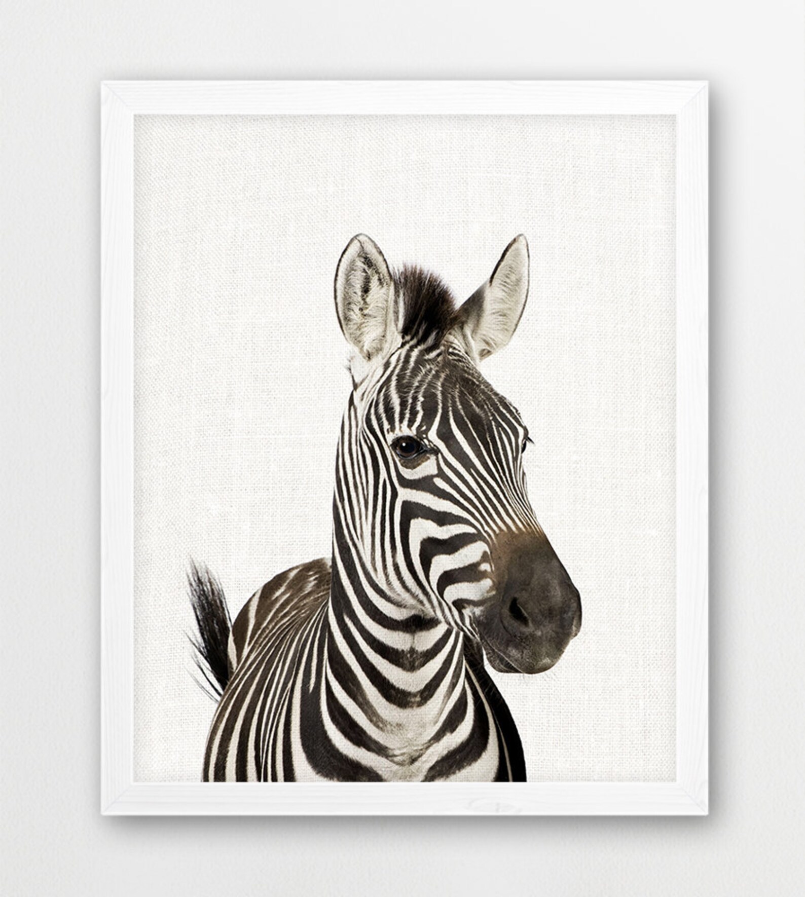 Zebra Printable African Safari Savanna Animals Photography - Etsy