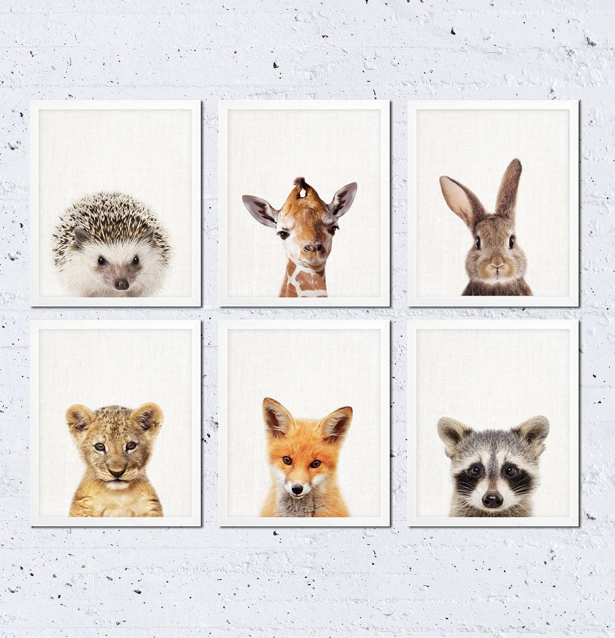 Animals Print Baby Animals Print Set of 6 Bunny Fox Lion | Etsy