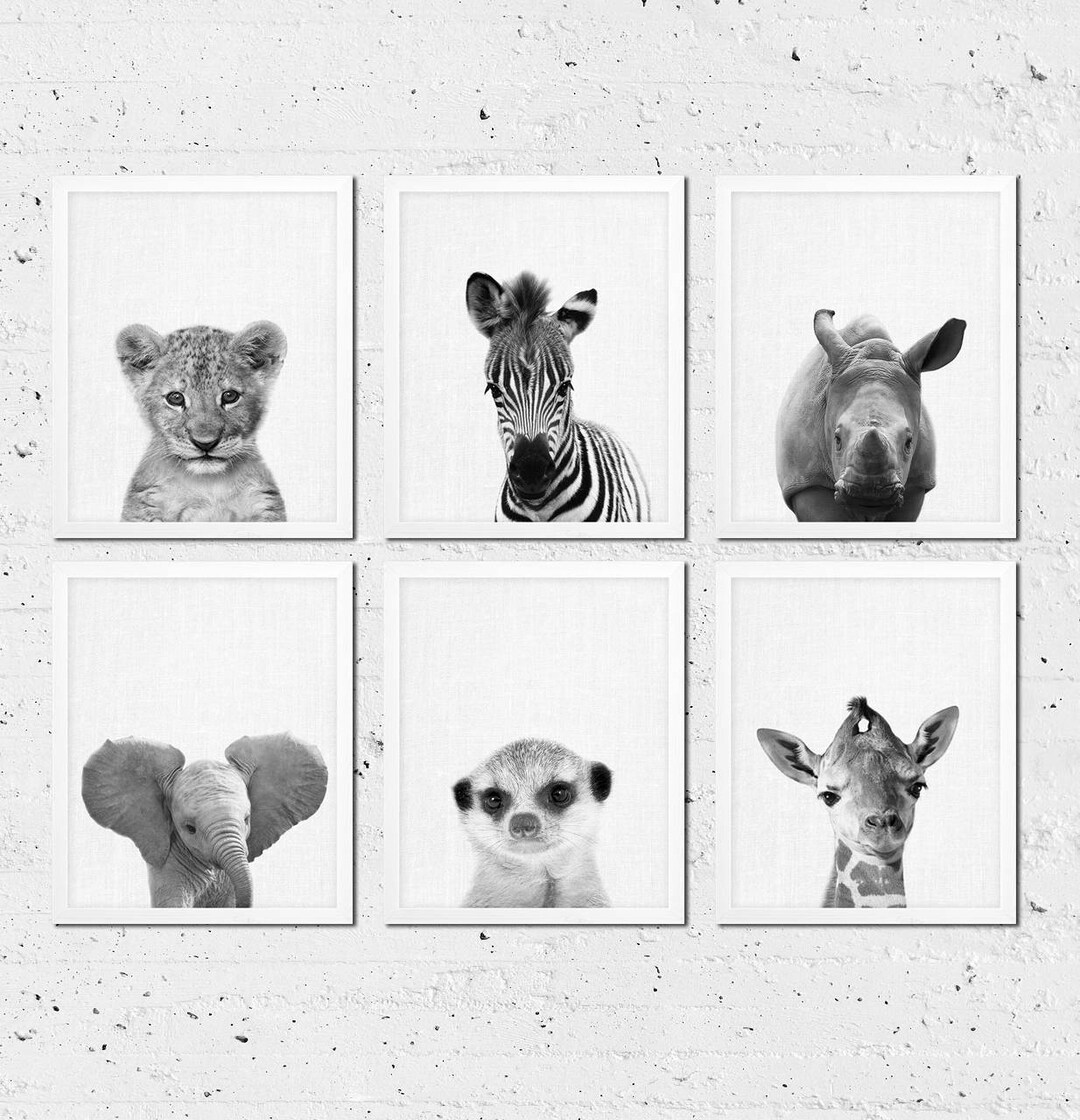 Safari Animals Print, Animals Print Set of 6, Baby Lion Elephant Rhino ...