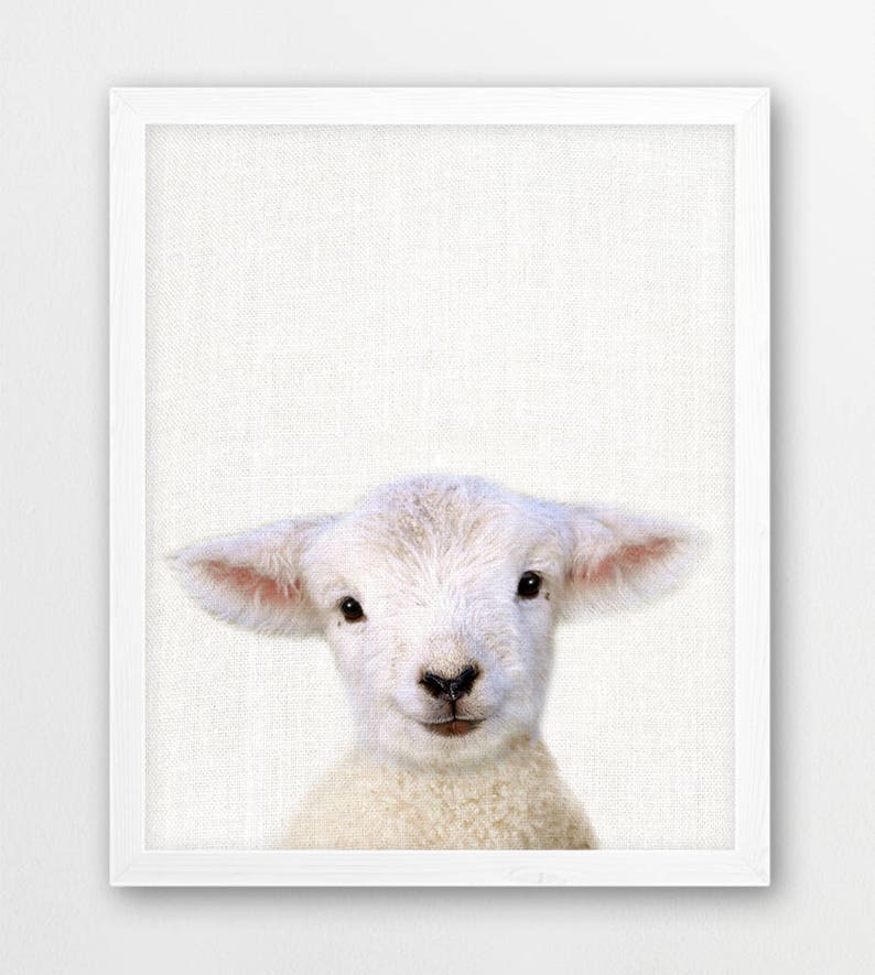 Farm Animals Print, Animals Photo Print Set of 8, Bunny Goat Duck ...