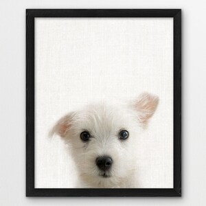 Dog Puppy Print, Animals Photo, Nursery Animal Wall Art, Domestic Cute ...