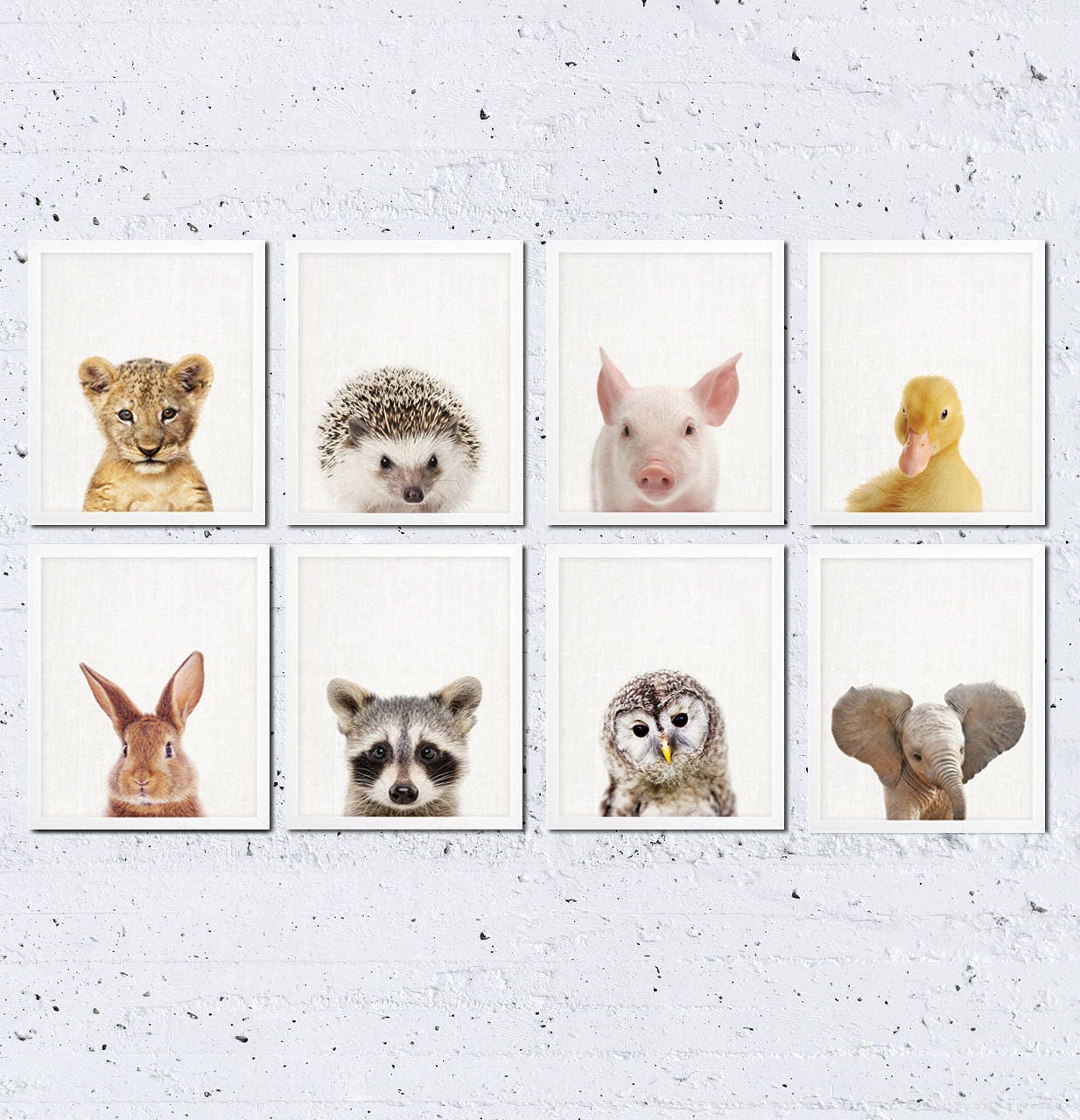 Animals Nursery Print, Cute Animals Photo Mix Print Set of 8, Bunny ...