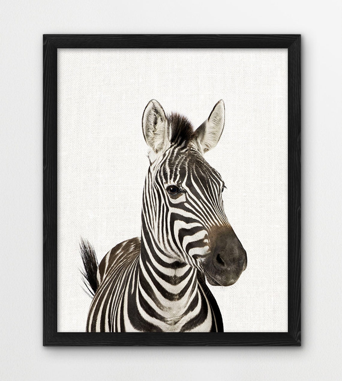 Zebra Printable African Safari Savanna Animals Photography | Etsy