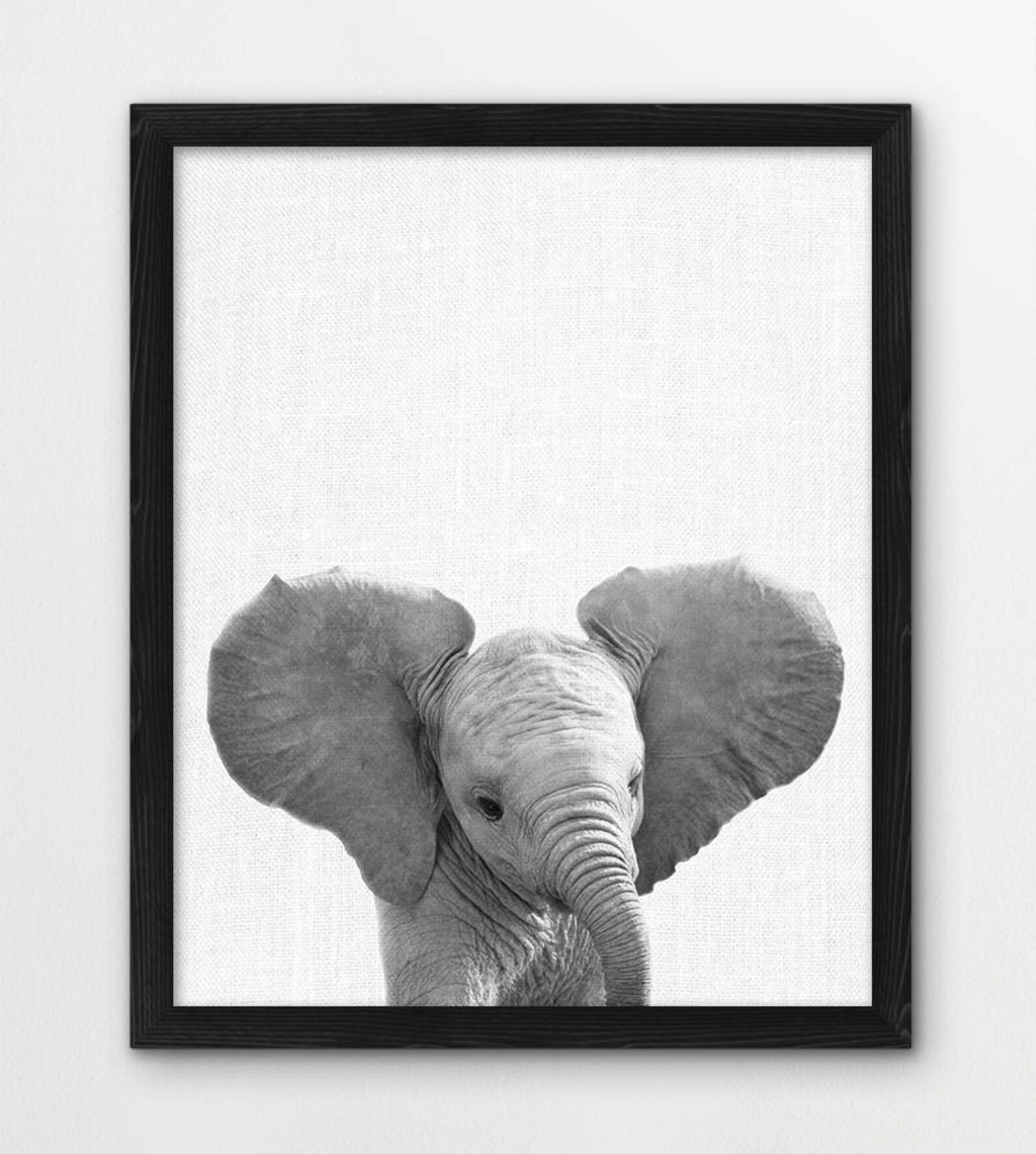 Elephant Print, Cute Baby Elephant Photo Print, Africa Safari Savanna ...