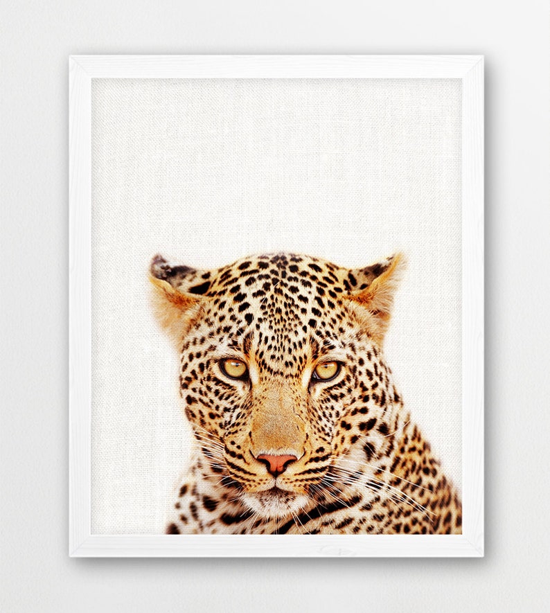 Leopard Print Leopard Photo Forest Jungle Animals Print | Etsy