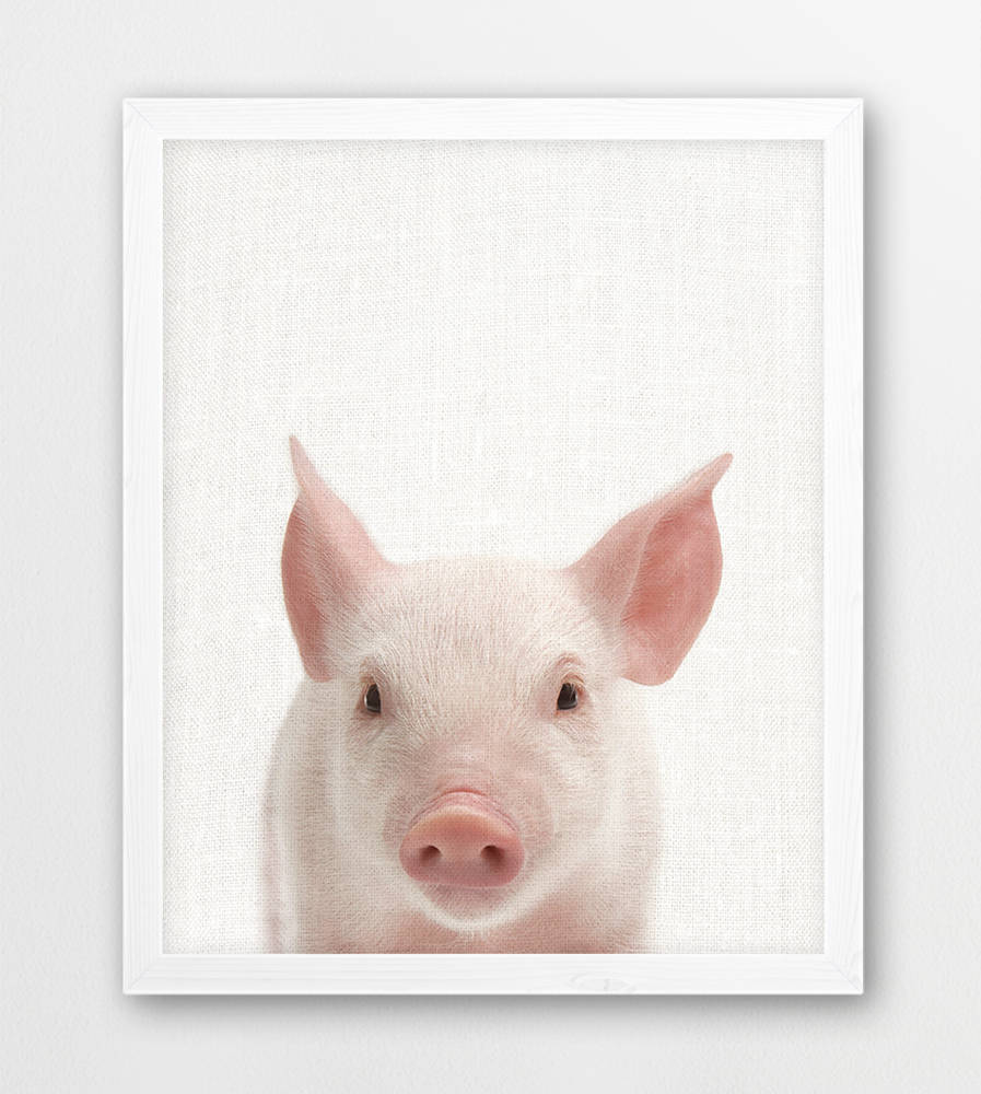 Animals Nursery Print Cute Animals Photo Mix Print Set of 8 | Etsy